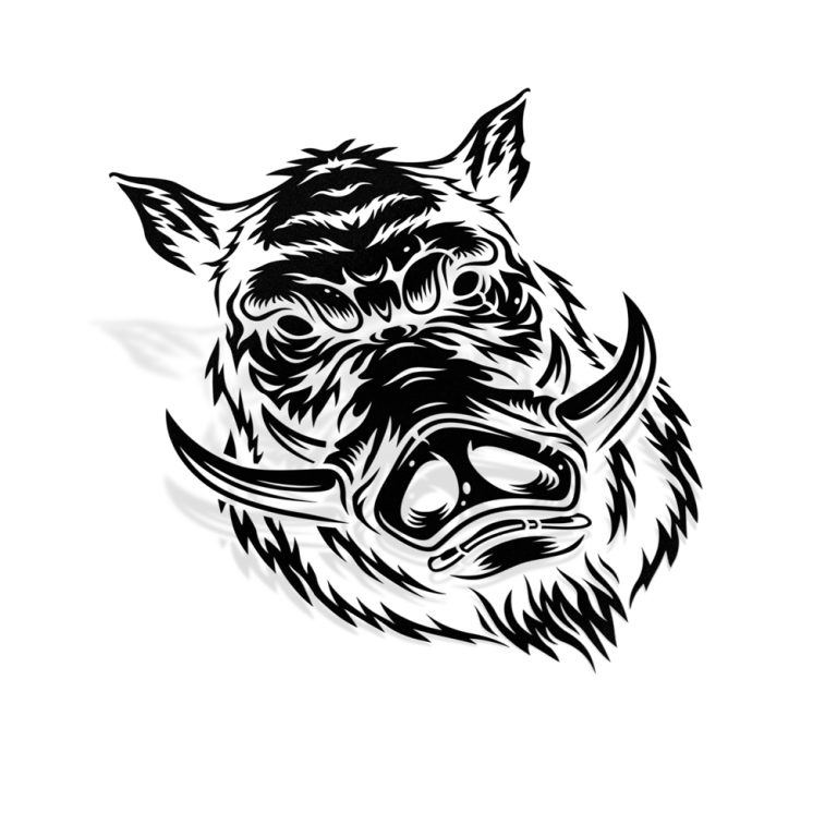 ᐉ Samolepka Kawasaki | Expres výroba - E-cut.cz